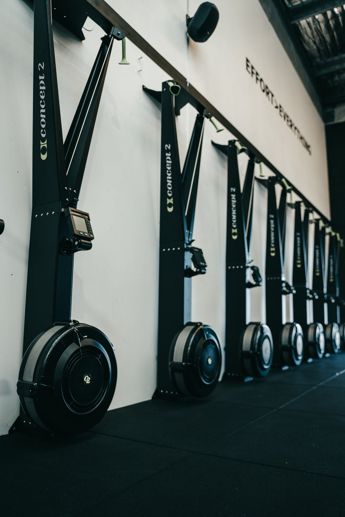 Concept 2 Ski Erg – Flex Fitness Equipment New Zealand