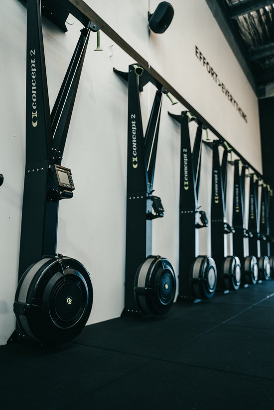 Concept 2 Ski Erg – Flex Fitness Equipment New Zealand