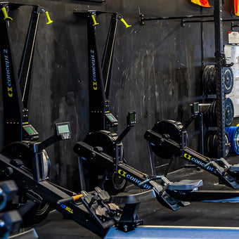 Ski Ergs - Ski Erg machines – Flex Fitness Equipment New Zealand