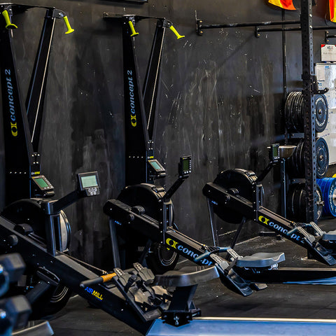 Ski Ergs - Ski Erg machines – Flex Fitness Equipment New Zealand