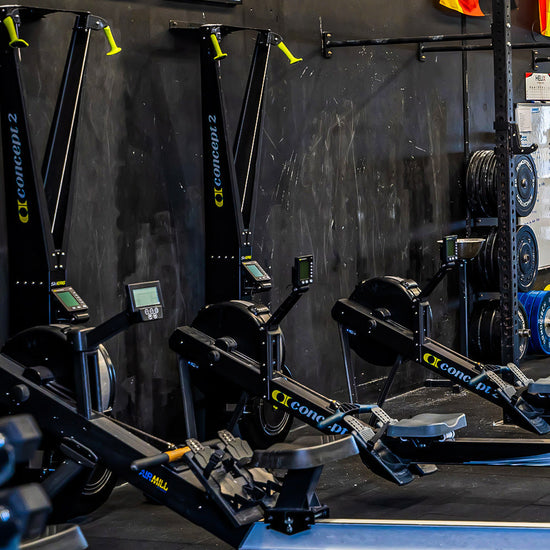 Concept 2 Ski Erg – Flex Fitness Equipment New Zealand