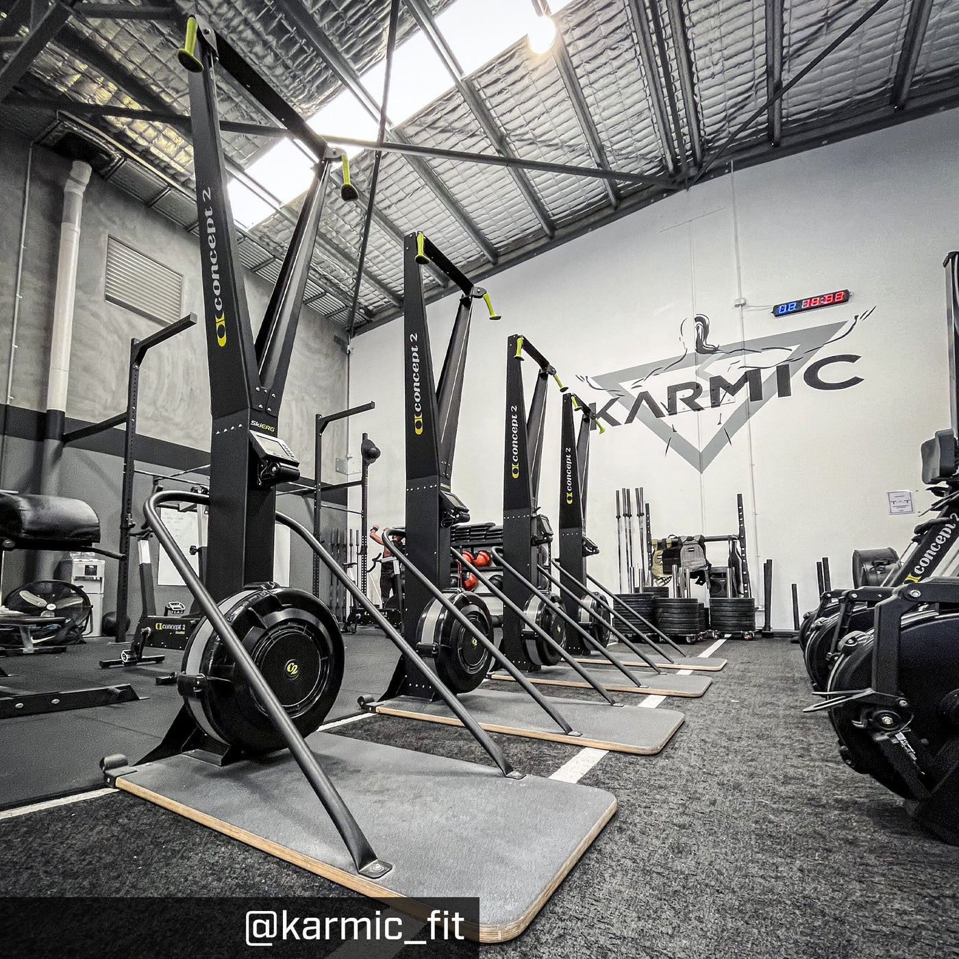 Ski Ergs - Ski Erg machines – Flex Fitness Equipment New Zealand